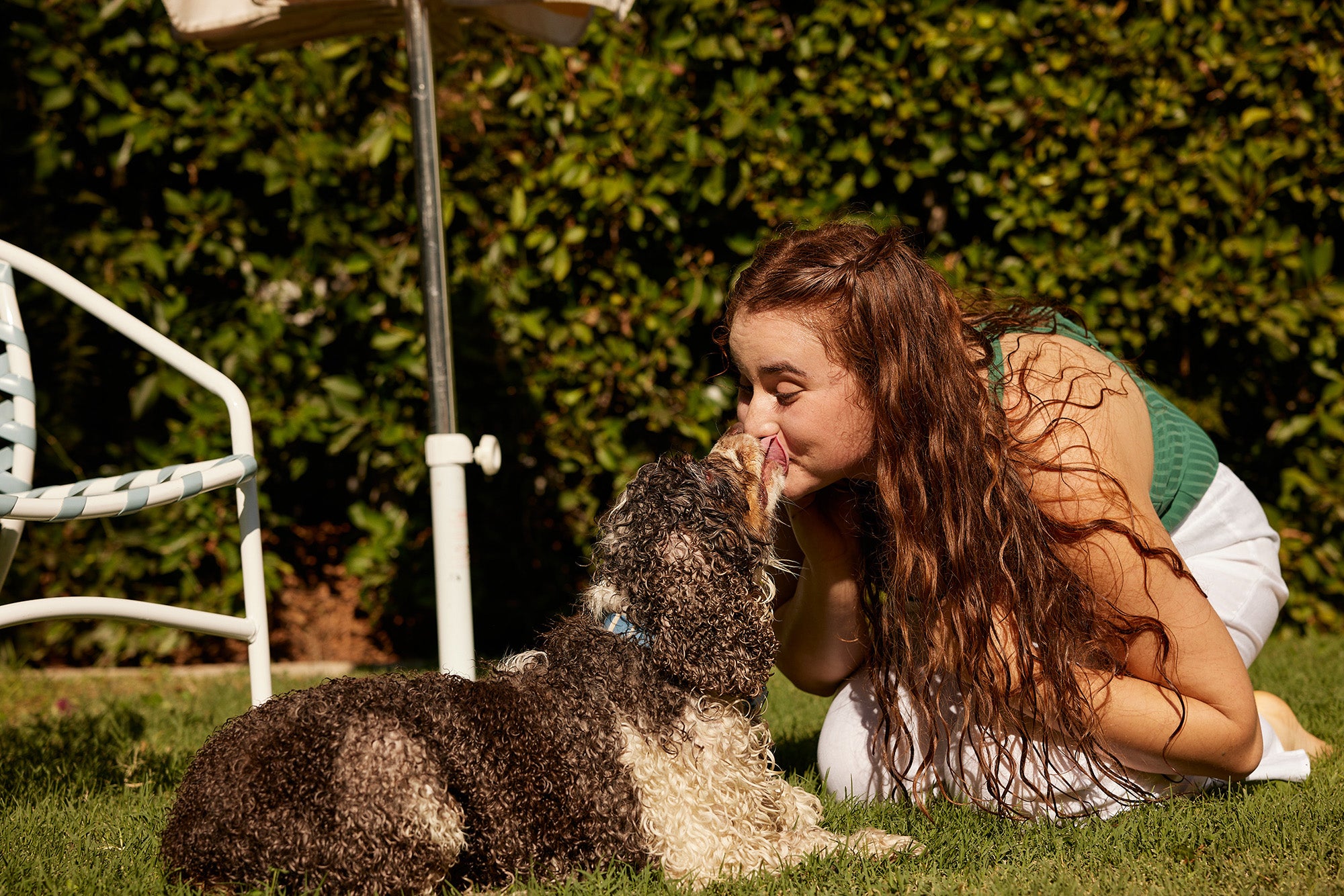 Am I Ready for a Dog? How to Prepare to Become a Pet Parent – Native Pet