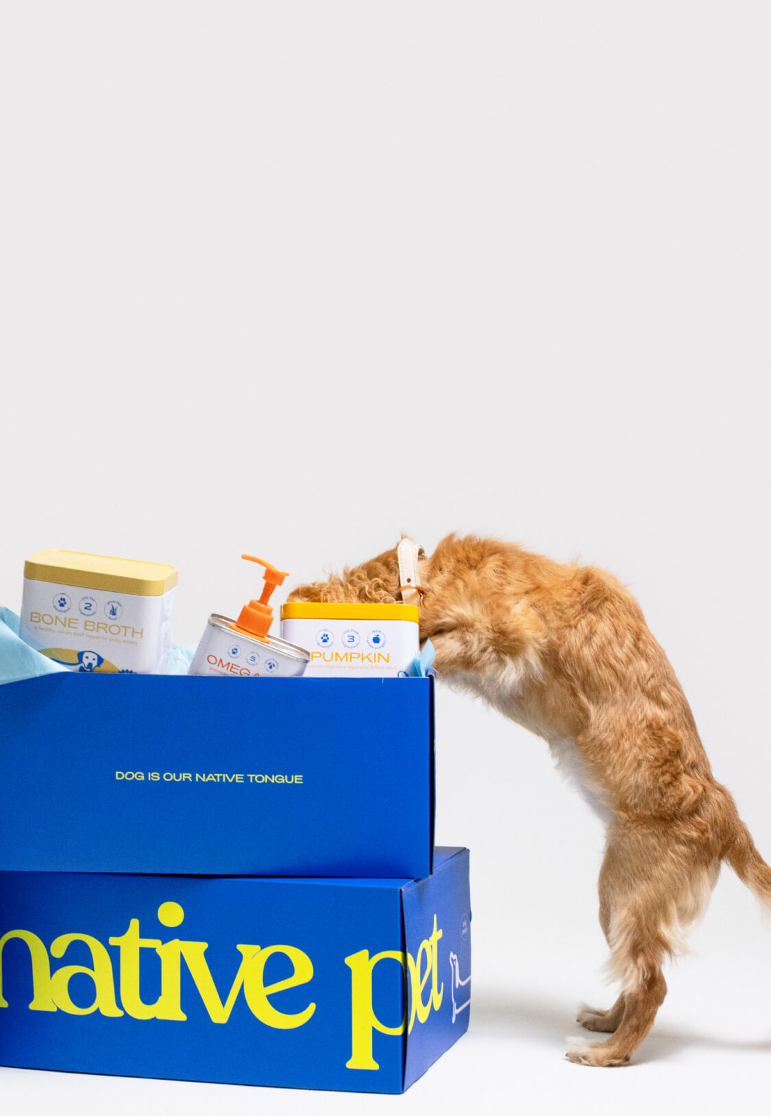 Native Pet Dog Supplements – The Native Pet