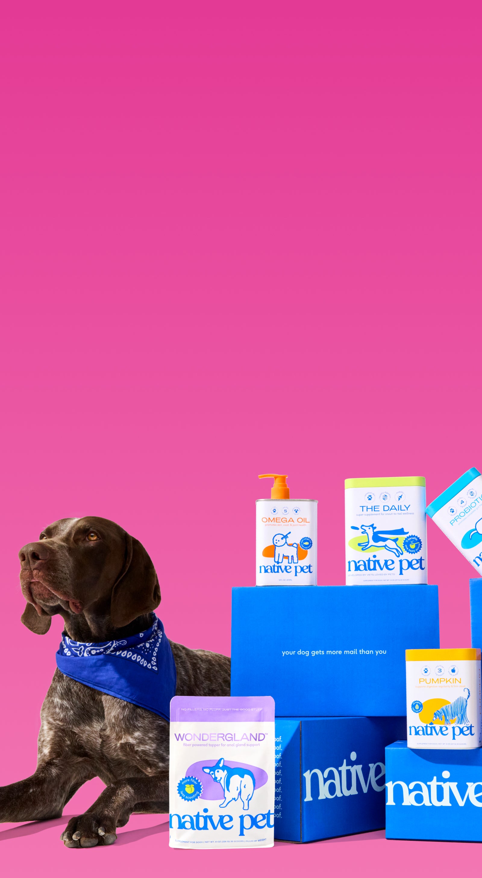 Native Pet Dog Supplements