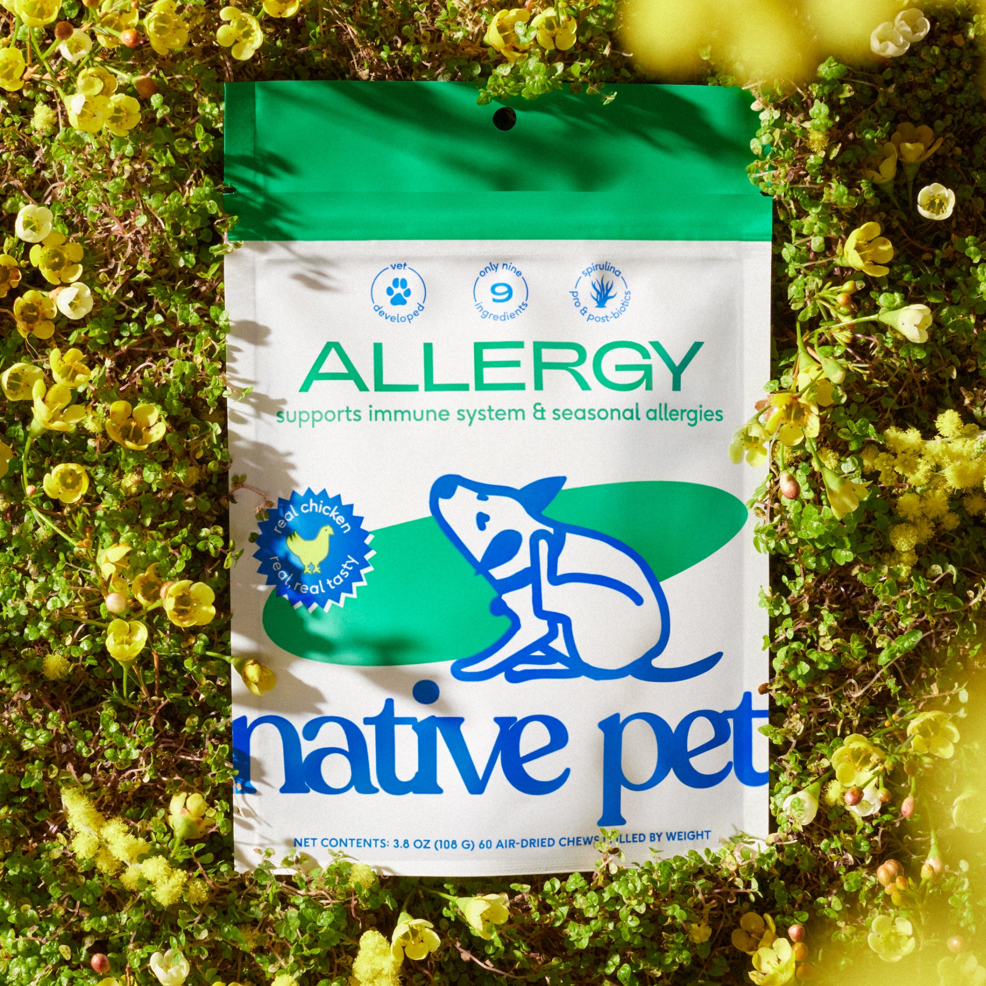 ALLERGY – Native Pet