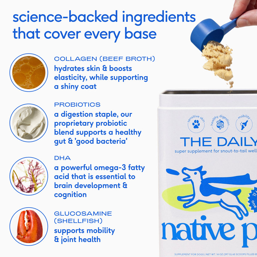 THE DAILY – Native Pet