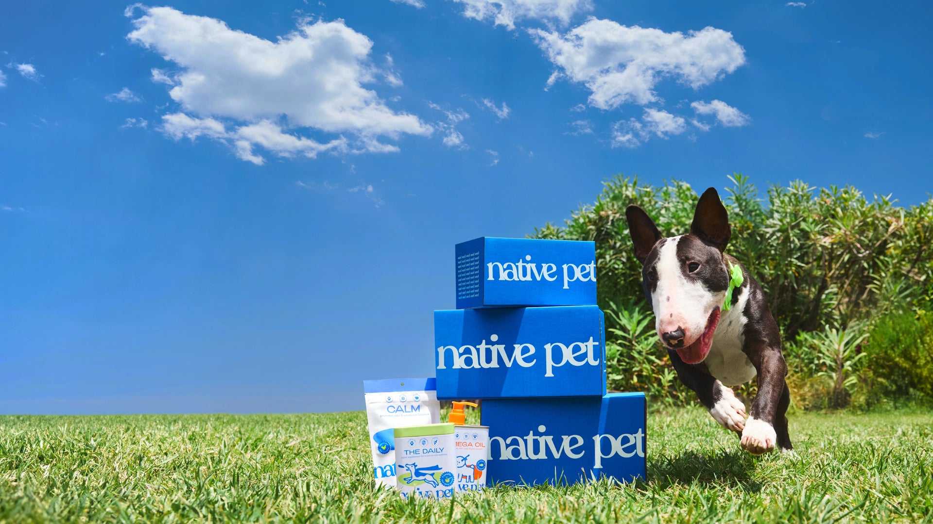 Native Pet Dog Supplements