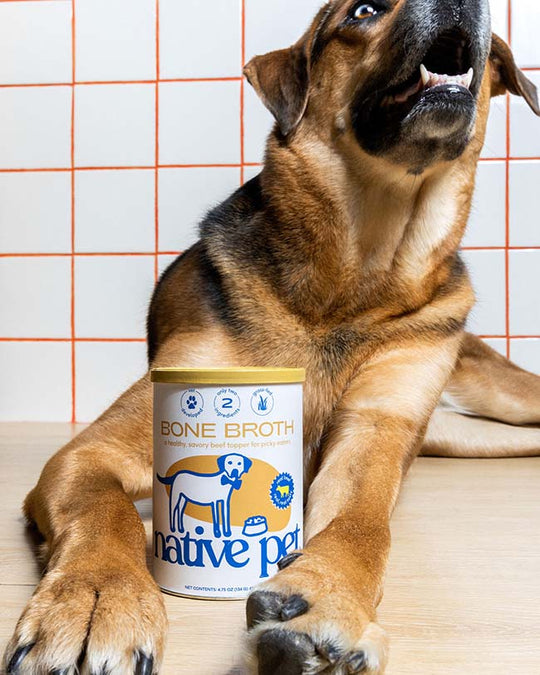 Native Pet Dog Supplements – The Native Pet